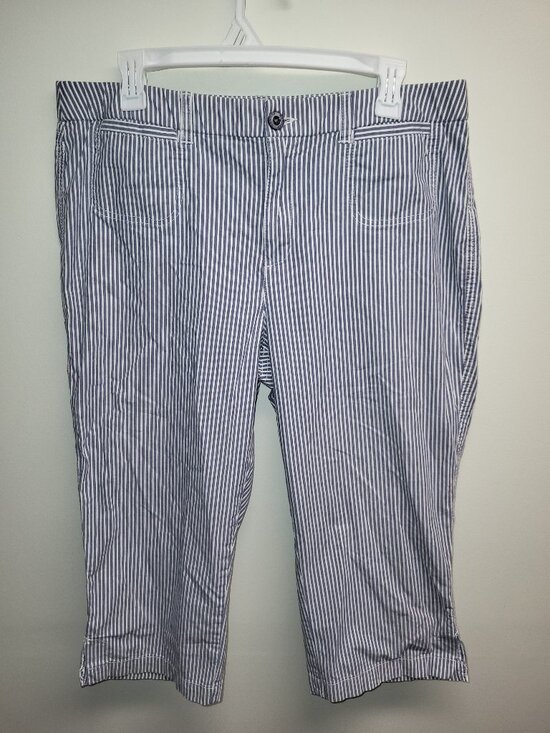 Kim Rogers | Pants & Jumpsuits | Kim Rogers Blue White Striped Capri ...